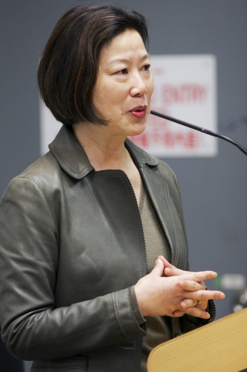 Filmmaker Ruby Yang Talks Environmental Documentaries, Animation and ...