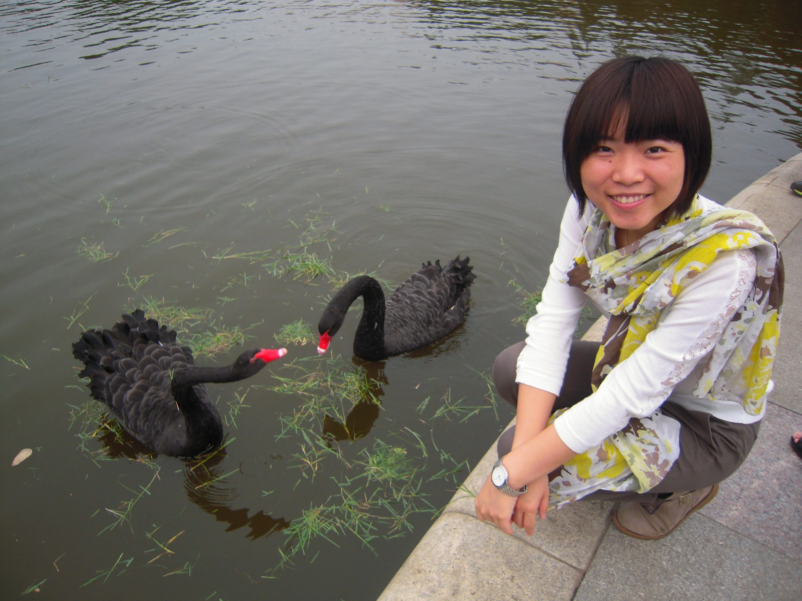 JMSC Students' Work Airs on RTHK - Journalism and Media Studies Centre ...